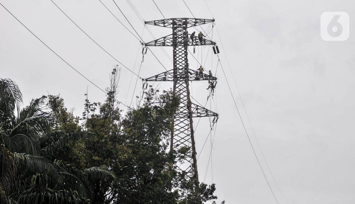 Perbaikan Rutin Jaga Stabilitas Sistem Kelistrikan Menara SUTET - Foto ...