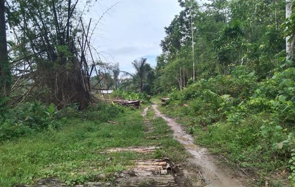 Arti P3K: Panduan Lengkap Pertolongan Pertama pada Kecelakaan