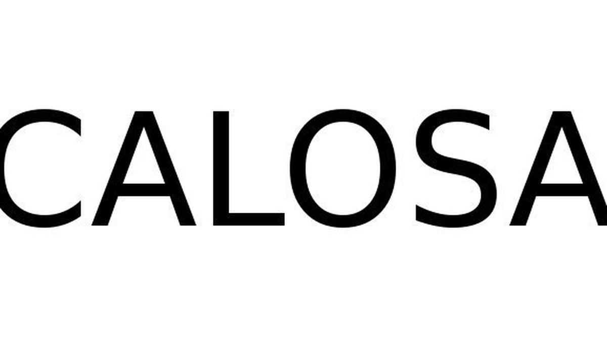 Calosa, Busana Wanita Muslim Masa Kini - Lifestyle Fimela.com