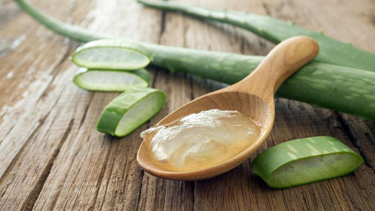6 Manfaat Ampuh Lidah Buaya, Sembuhkan Luka dan Mengatasi Jerawat