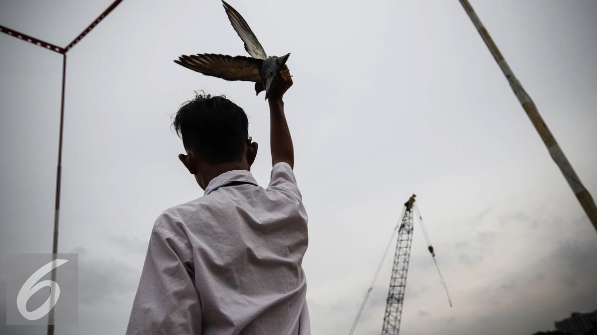 Melihat Latihan Burung Merpati Balapan - Foto Liputan6.com