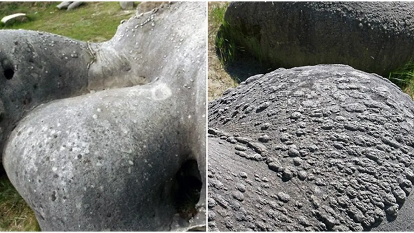 Ajaib, Batu Ini Bisa Tumbuh Besar! Kutukan Kah? - Lifestyle Fimela.com