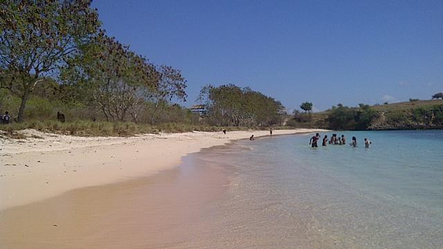 Spot Karang Pantai Pink Lombok Timur Mendadak Viral, Disebut Mirip ...