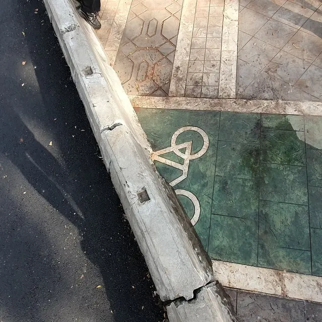 Aksi Tabur Bunga Prihatin Penutupan Trotoar dan Jalur Sepeda Simpang ...