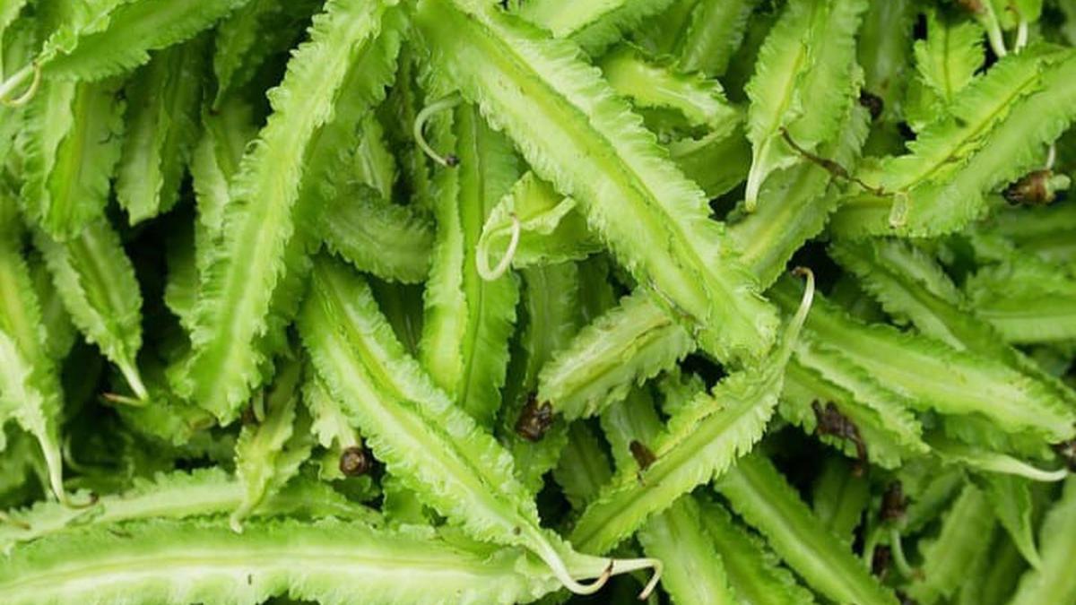 Berita sayur rendah kalori Hari Ini - Kabar Terbaru Terkini | Liputan6.com