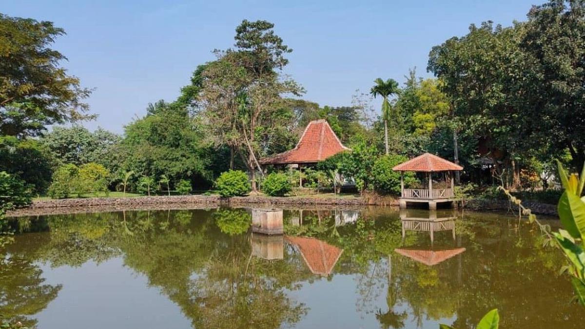 Mengenal Jamu dan Tanaman Obat di Kampoeng Djamoe Organik - Lifestyle ...