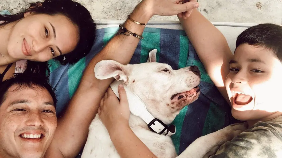 Berita Mike Lewis Hari Ini - Kabar Terbaru Terkini | Liputan6.com