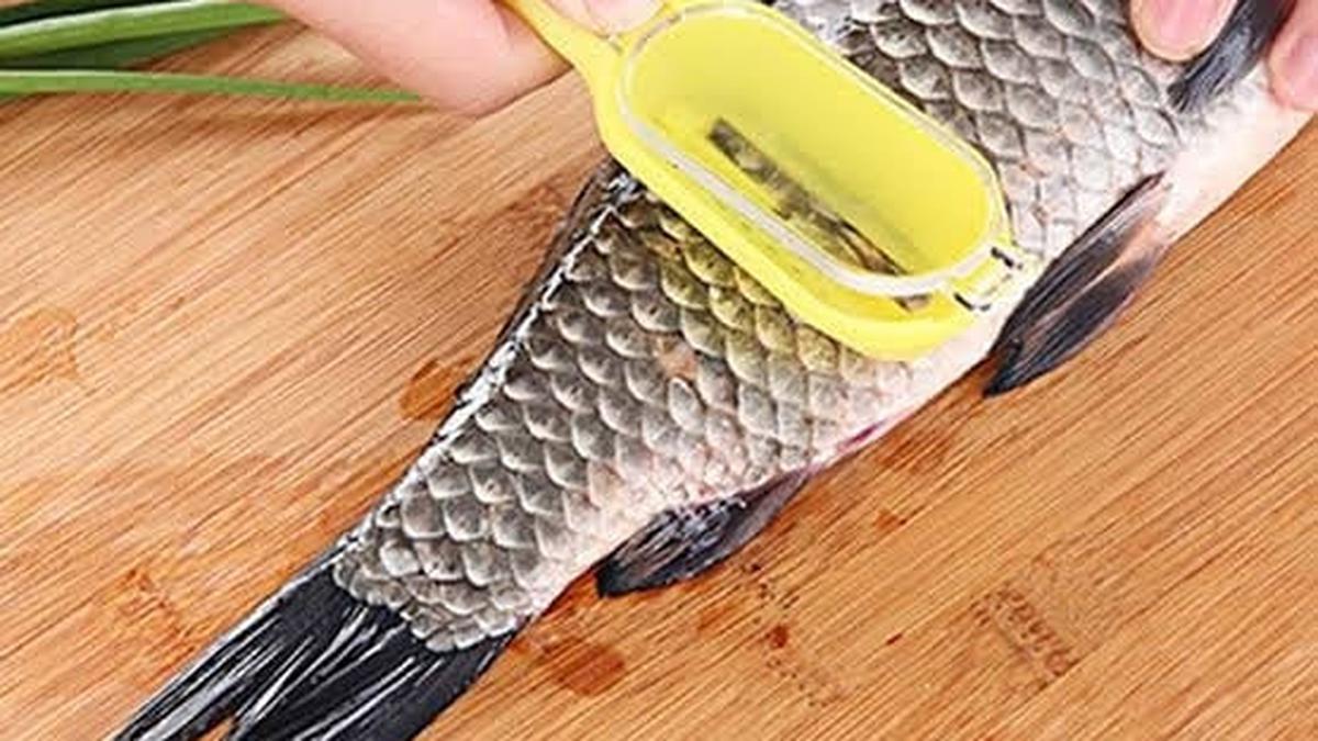 Cara Unik Bersihkan Sisik Ikan Pakai Timun yang Mudah dan Cepat - Food ...