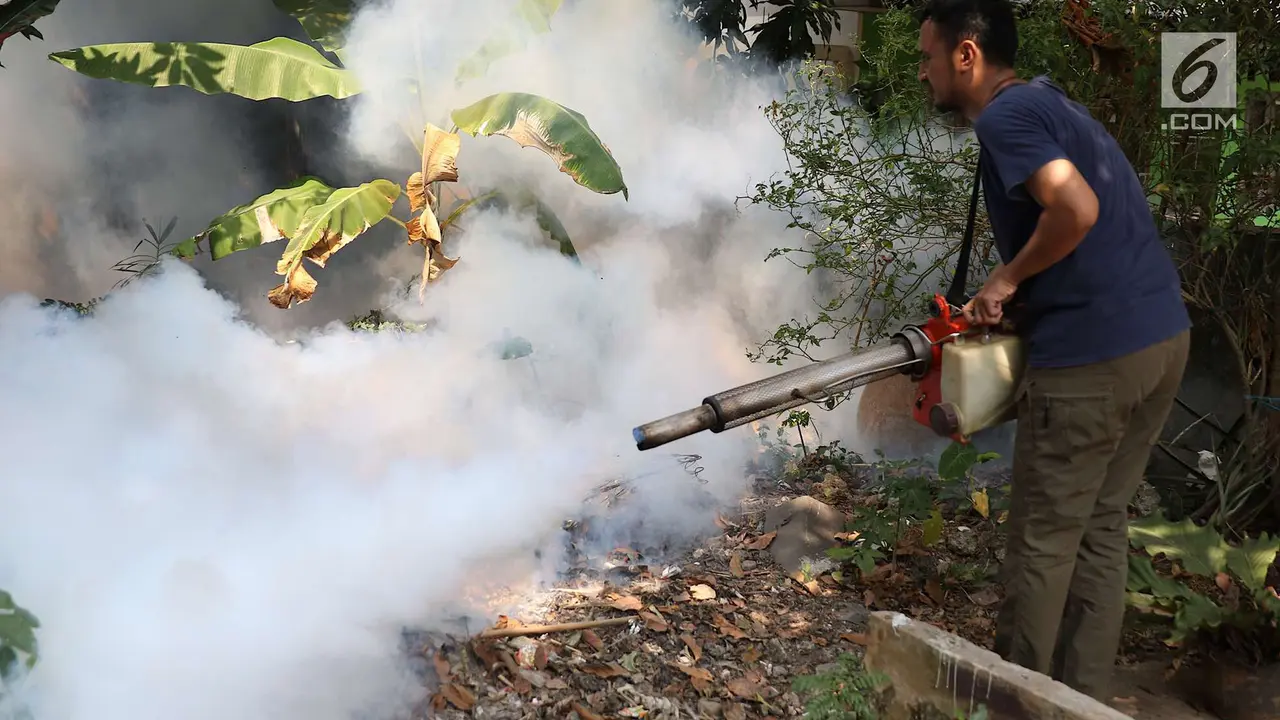 Tidak Boleh Sembarangan, Ini Aturan Fogging Nyamuk DBD yang Benar ...