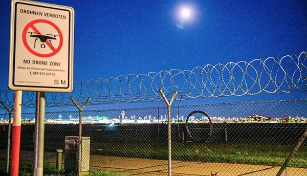 6 Fakta Menarik T-rex Si Raja Kadal - Global Liputan6.com