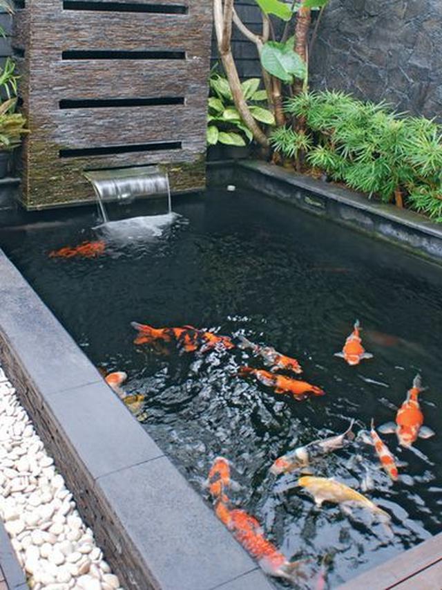 7 Desain Kolam Ikan Koi di Rumah Ini Bikin Hunian Makin Adem, Buat Segera