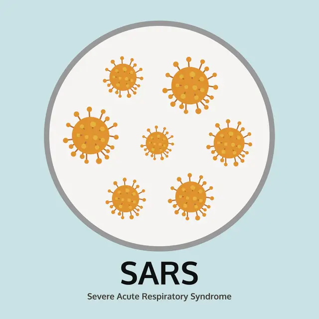Penyakit SARS, Penyebab, Gejala, dan Pengobatan yang Bisa Dilakukan di ...
