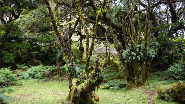 Keindahan Alam Tersembunyi Itu Bernama Gunung Binaiya - Lifestyle ...