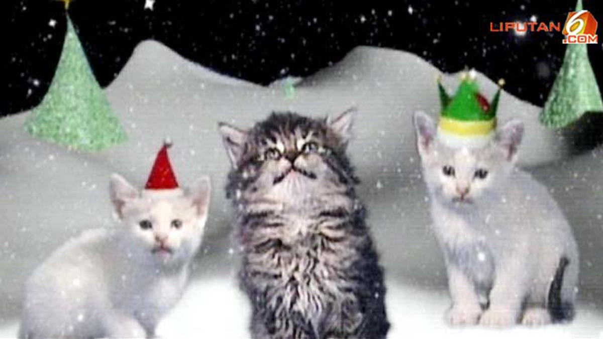 VIDEO: Aksi 9 Kucing 'Jingle Cats' - News Liputan6.com