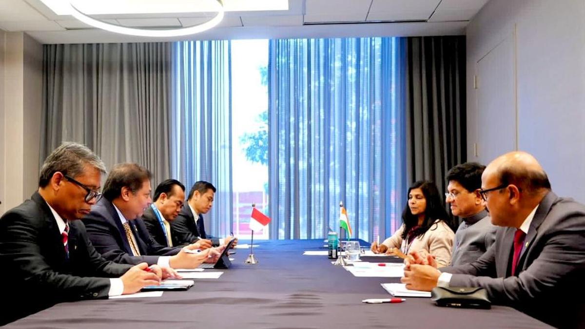 Temui Menteri India, Menko Airlangga Ingin Perkuat Kerja Sama Ekonomi - Bisnis Liputan6.com