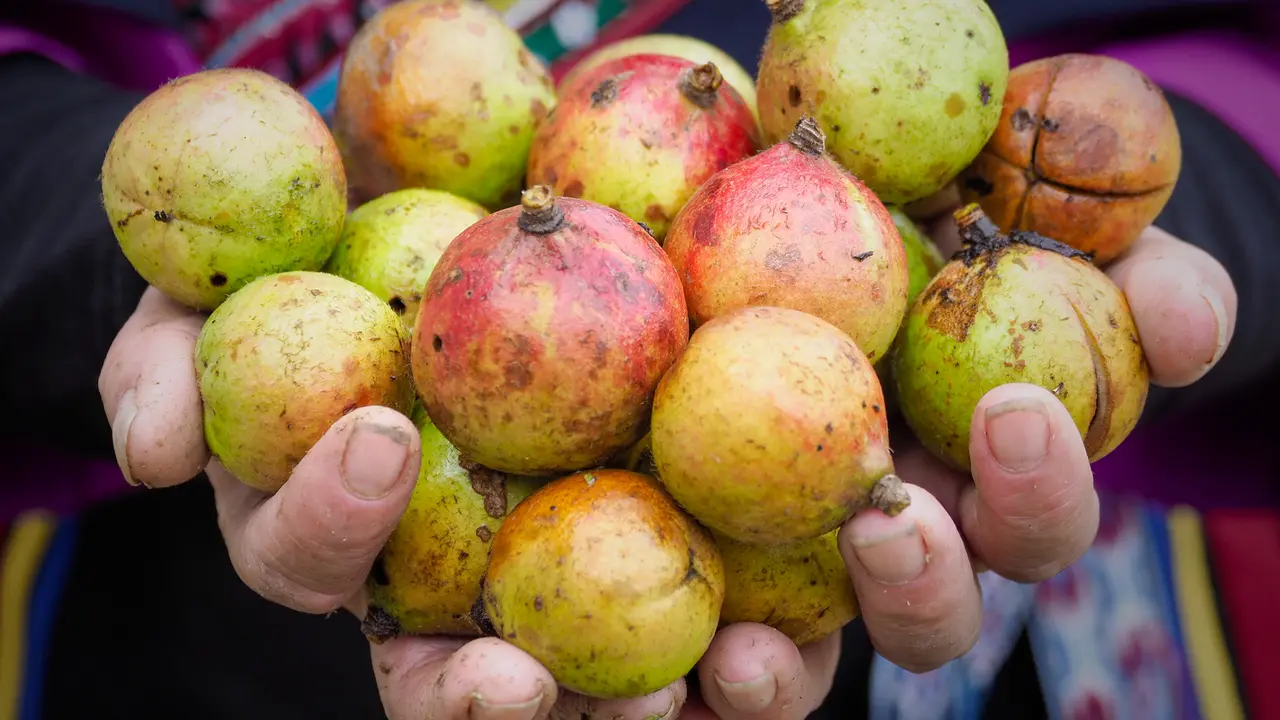 12 Cara Numbuhin Rambut Cepat dan Alami, Dijamin Lebat Tak Pakai Ribet ...