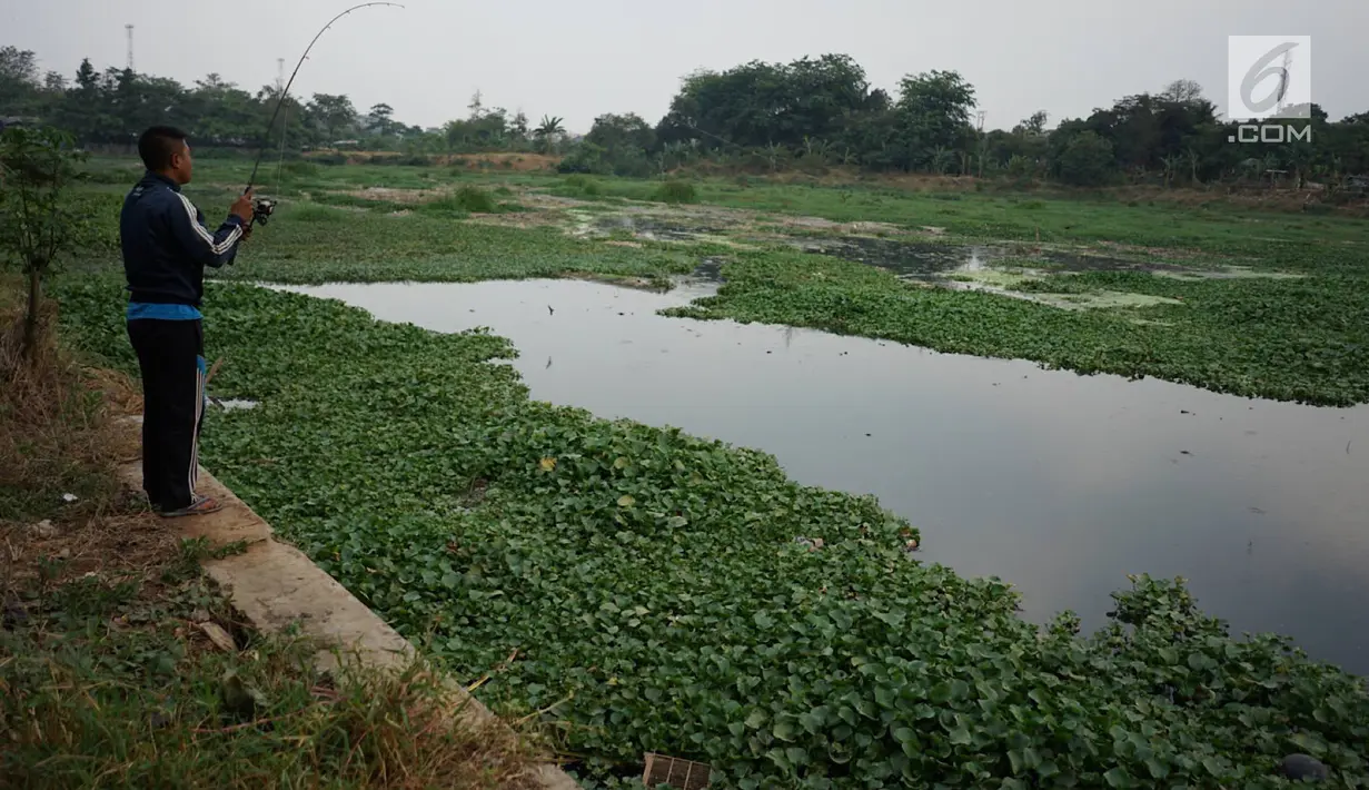 FOTO: Setu di Depok Jadi Lautan Eceng Gondok - Foto Liputan6.com