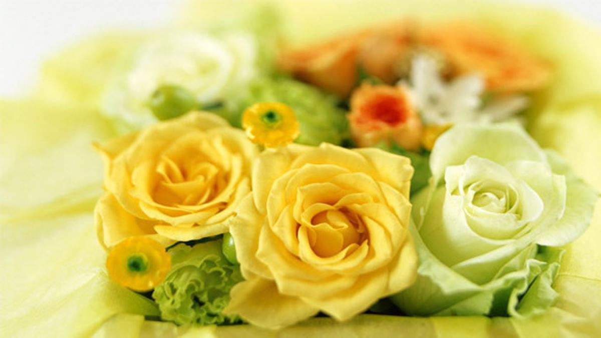 Bunga-Bunga Cantik Yang Pasti Bikin Anda Terpesona