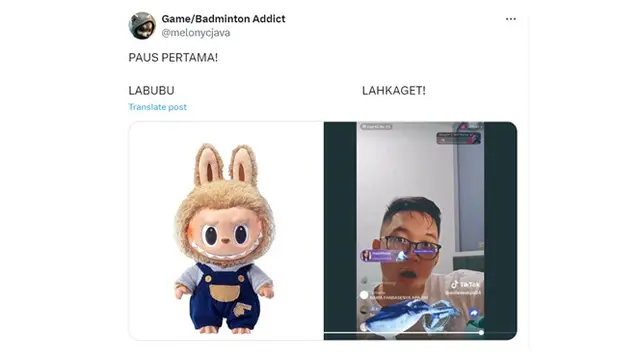 6 Pelesetan Nama Boneka Labubu Ini Kocak, Viral karena Lisa Blackpink ...