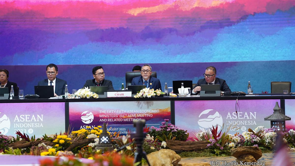 Dipimpin Mendag Zulkifli, Pertemuan Konsultasi ke-20 AEM-India Sepakat ...