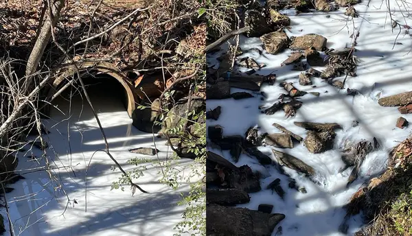 5 Potret Mesra Vladimir Rama dan Sarah Tumiwa yang Kini Mulai Go Public ...