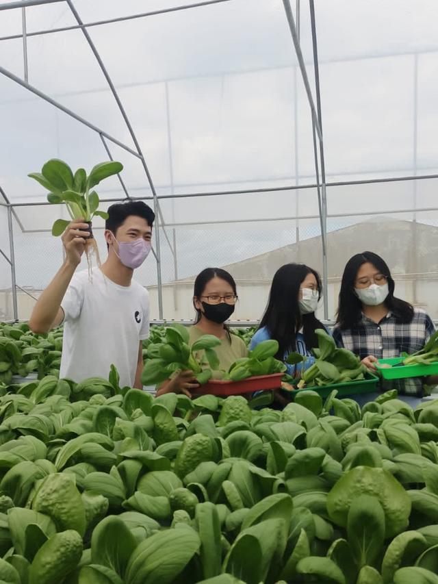 Penyanyi Han Chandra Kembangkan Kebun Kohan, Fokus ke Kesehatan Tanah ...