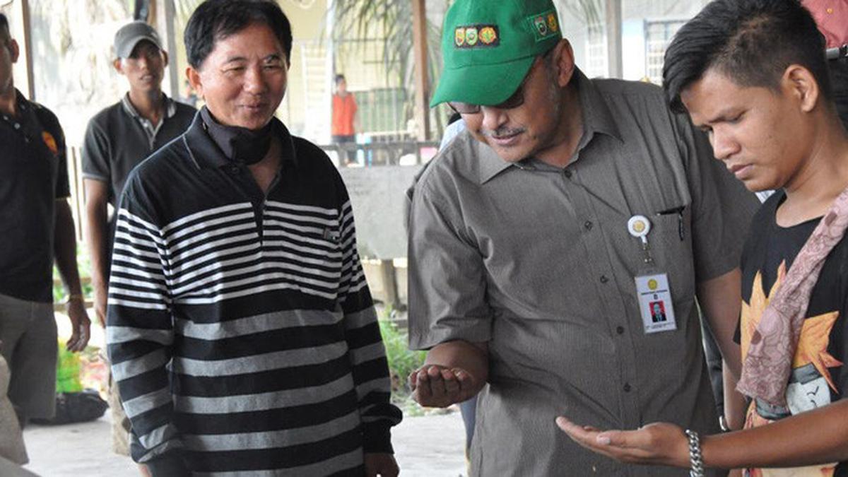 Kementan Terus Perangi Pratik Mafia Pupuk - News Liputan6.com