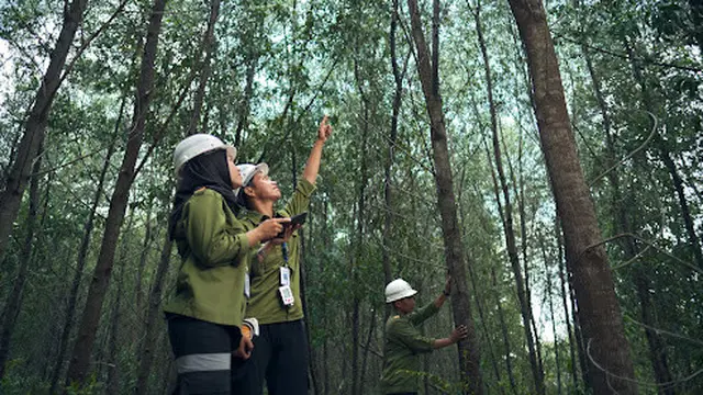 Profil PT RAPP, Produsen Kertas Berkelanjutan Terbesar di Indonesia ...