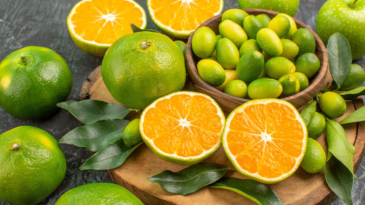 5 Manfaat Buah Sitrus yang Baik untuk Kesehatan Tubuh Beserta Jenisnya