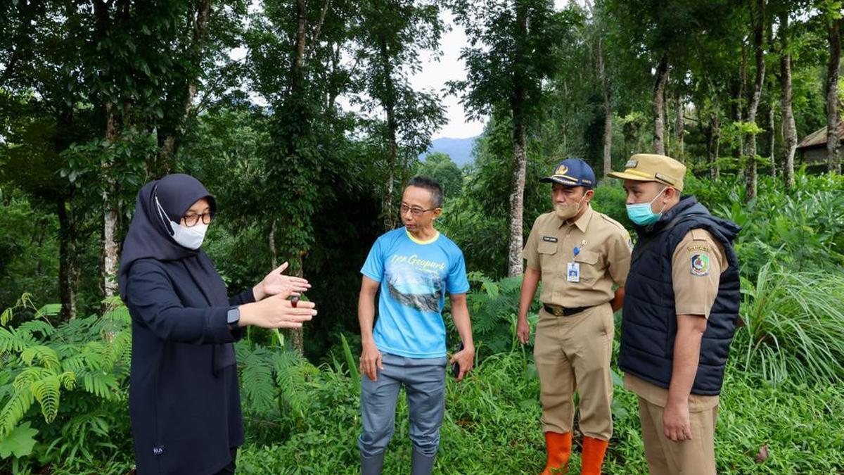 2 Skema Banyuwangi Atasi Banjir, Rorak dan Tanaman Berdaya Serap Tinggi