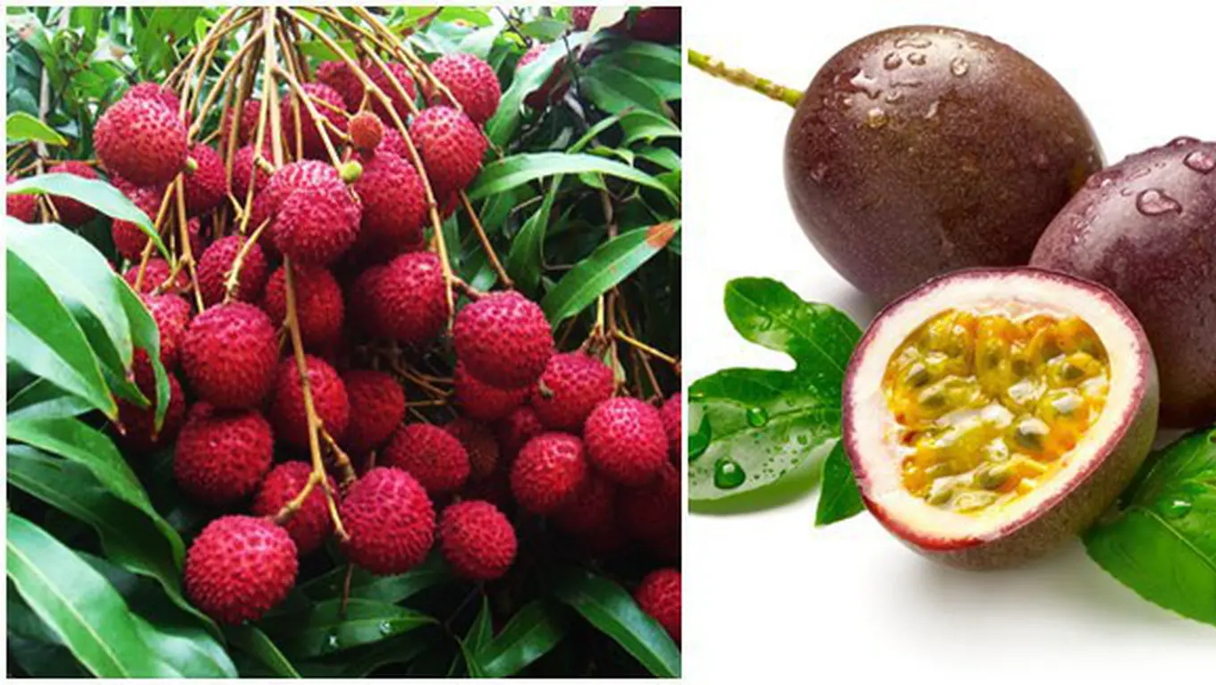10 Buah Paling Eksotis di Dunia, Semua Ada di Indonesia