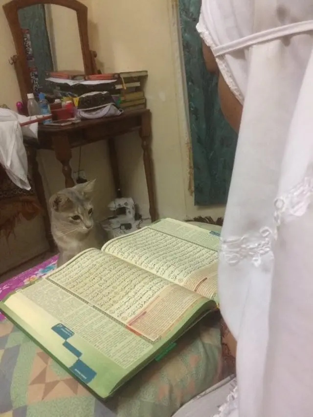 6 Potret Kucing Temani Orang Mengaji Ini Bikin Gemas - Hot Liputan6.com