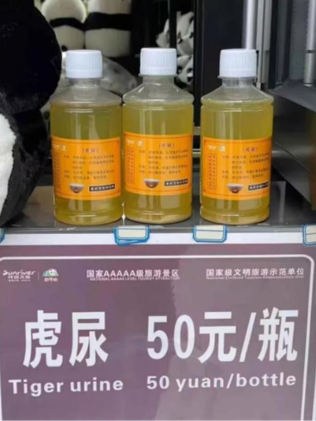 Viral Kebun Binatang Ini Jual Urin Harimau untuk Obat Rematik, Tuai ...