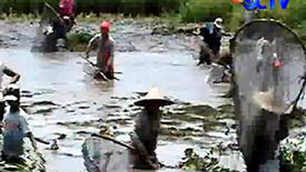 Ribuan Warga Banten Gelar Bedolan Ikan - News Liputan6.com