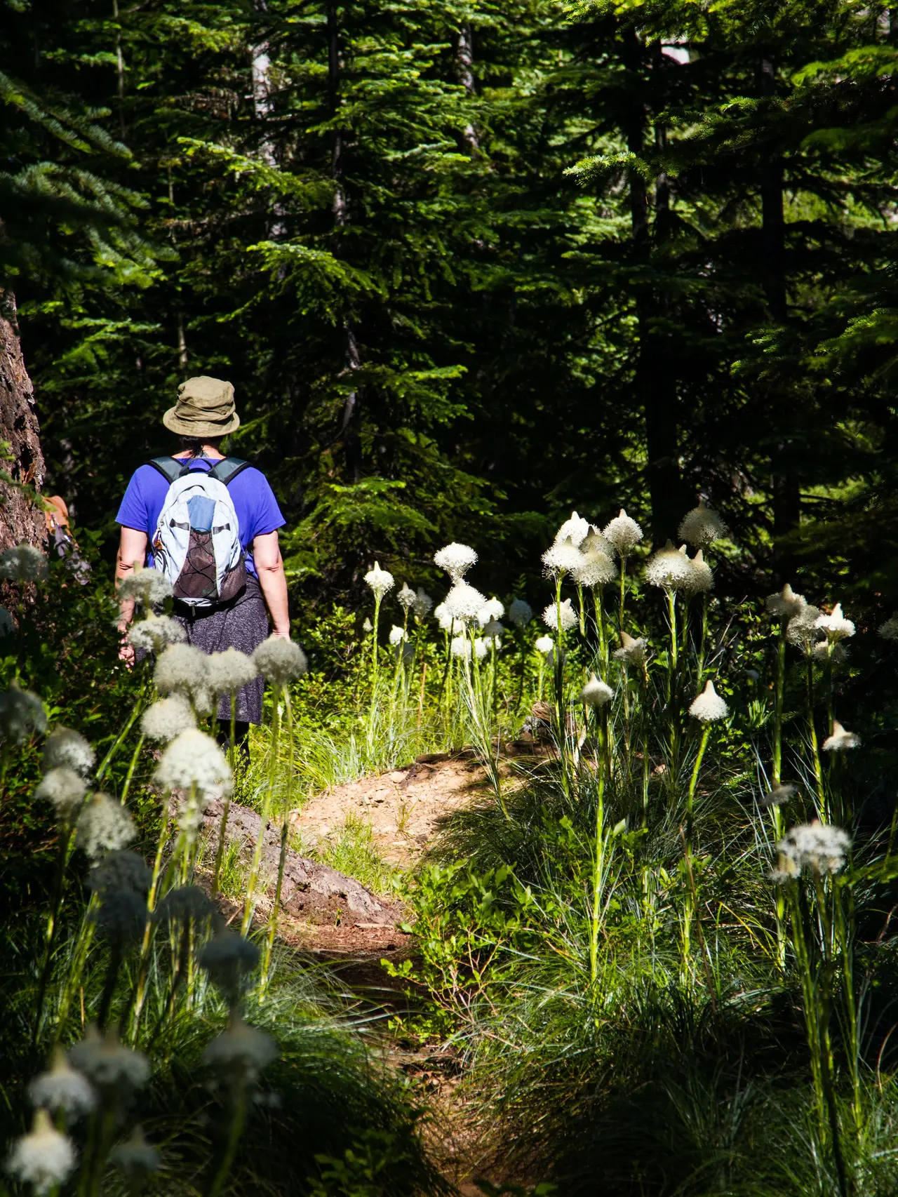 80 Kata-Kata Healing yang Inspiratif, Bisa Pulihkan Pikiran dan Hati ...