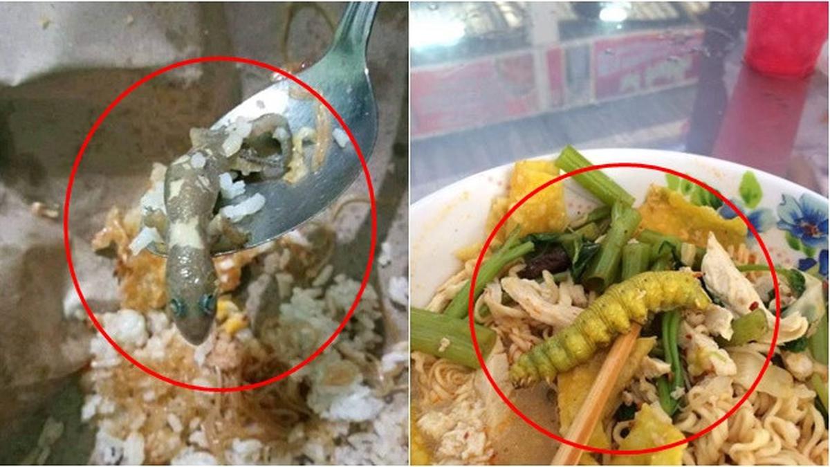 7 Potret Hewan Aneh Terselip di Makanan Ini Bikin Jijik - Hot Liputan6.com