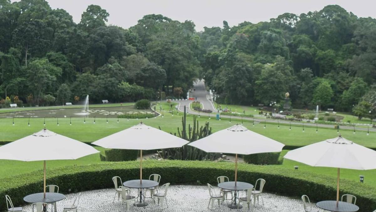 Resto Raasaa Hadirkan Suasana Sunset dan Keindahan Taman-Taman di Kebun ...