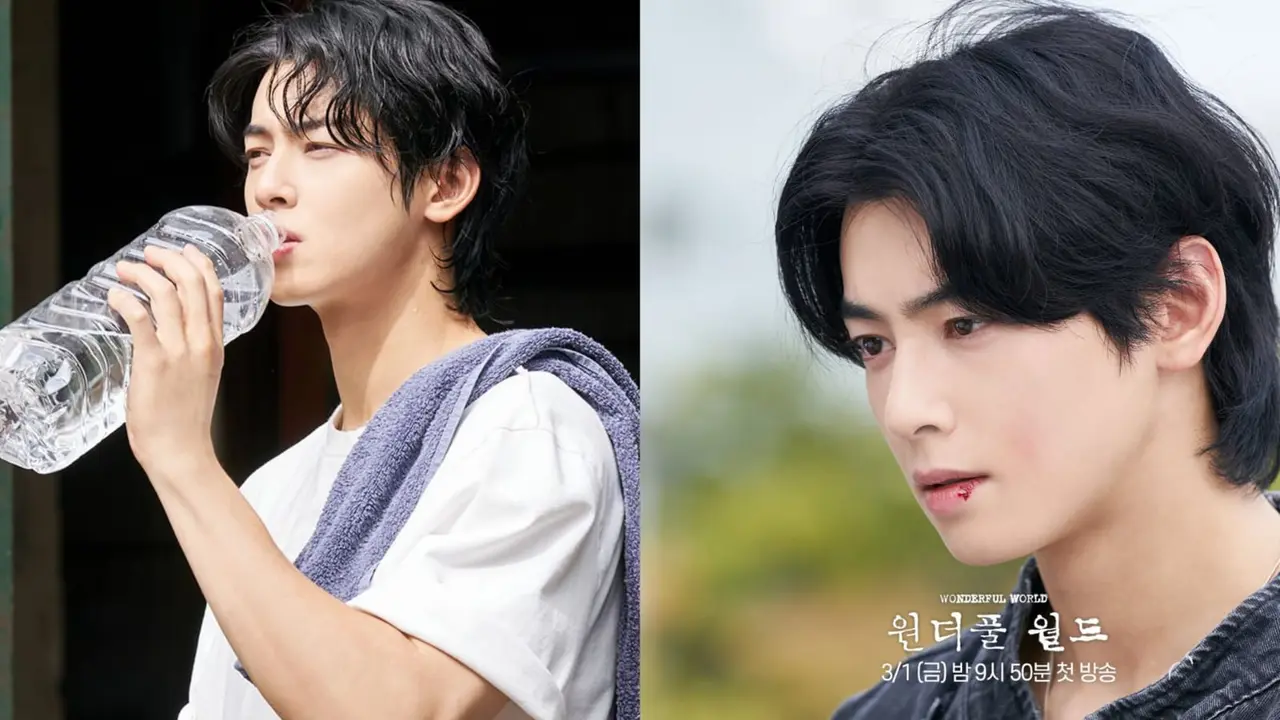 9 Rekomendasi Drakor yang Dibintangi Cha Eun Woo, My Romantic Some Recipe Hingga Wonderful World ...