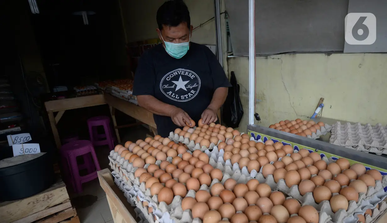 FOTO: Harga Telur Turun di Momen Libur Panjang - Foto Liputan6.com