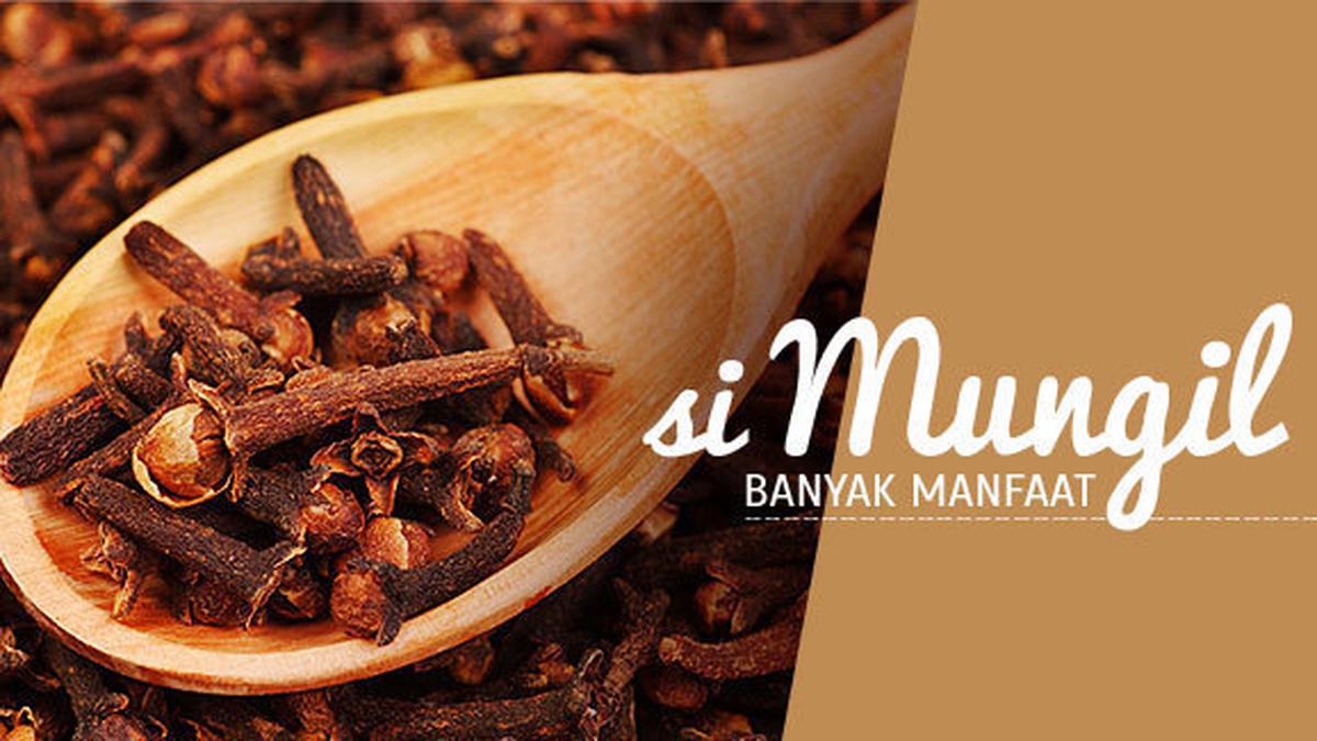 5 Manfaat Sehat Cengkeh (Part 4)