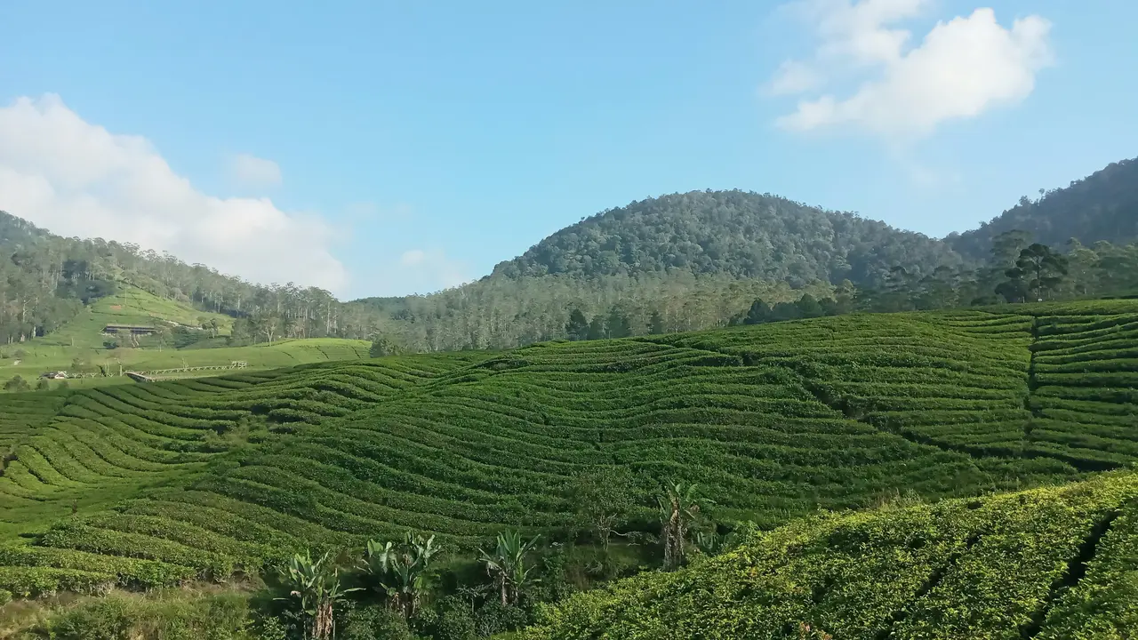 Wisata Alam Bisa Jadi Terapi Bermanfaat untuk Kesehatan Mental - Health ...