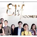 Berita Elif Indonesia Hari Ini - Kabar Terbaru Terkini | Liputan6.com