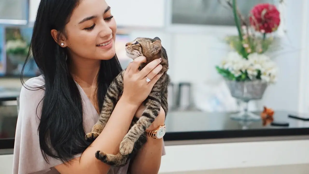 6 Artis Tanah Air Ini Pelihara Kucing yang Harganya Fantastis, Bisa ...
