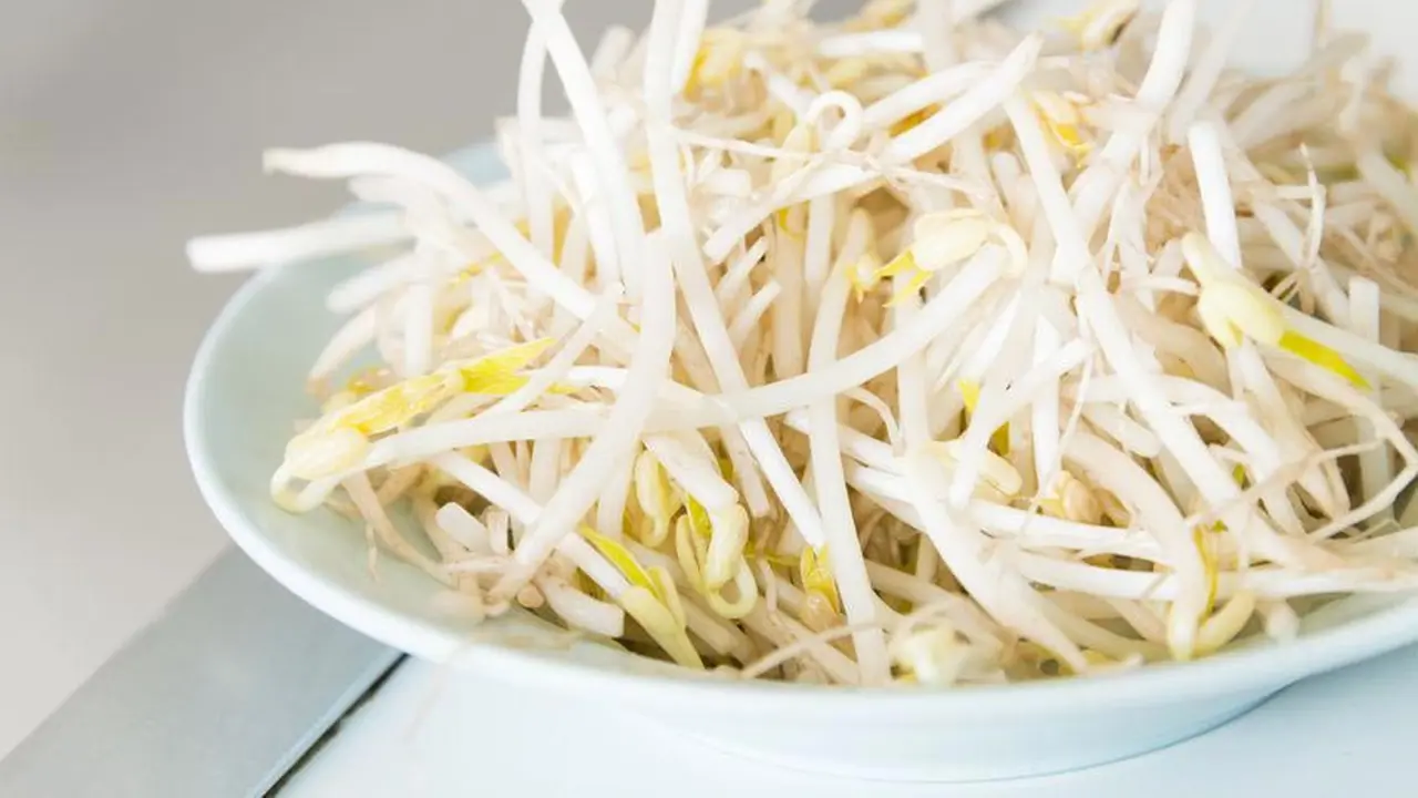 7 Cara Menyimpan Taoge Agar Awet dan Tetap Segar - Hot Liputan6.com